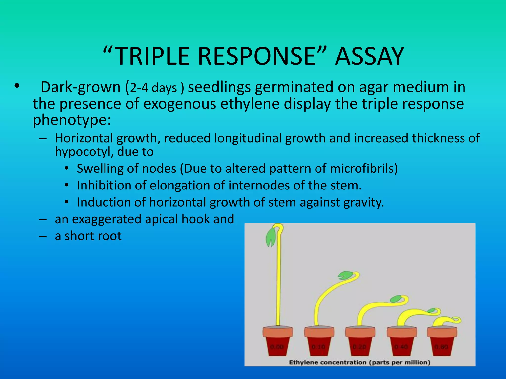Bioassay for plant growth regulators | PDF