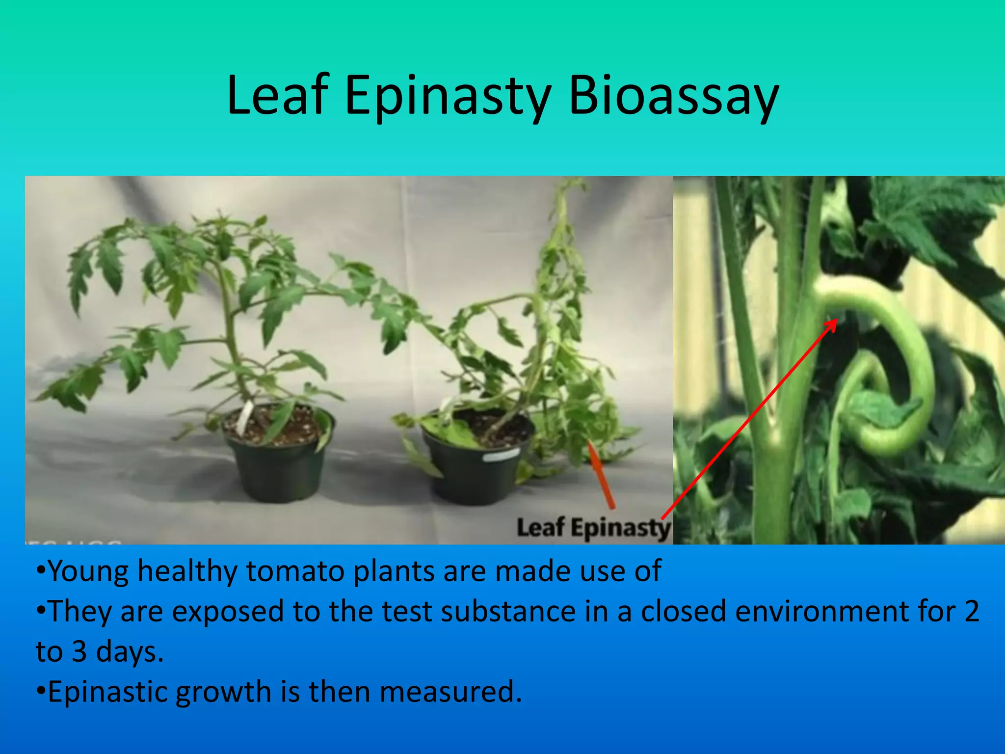 Bioassay for plant growth regulators | PDF
