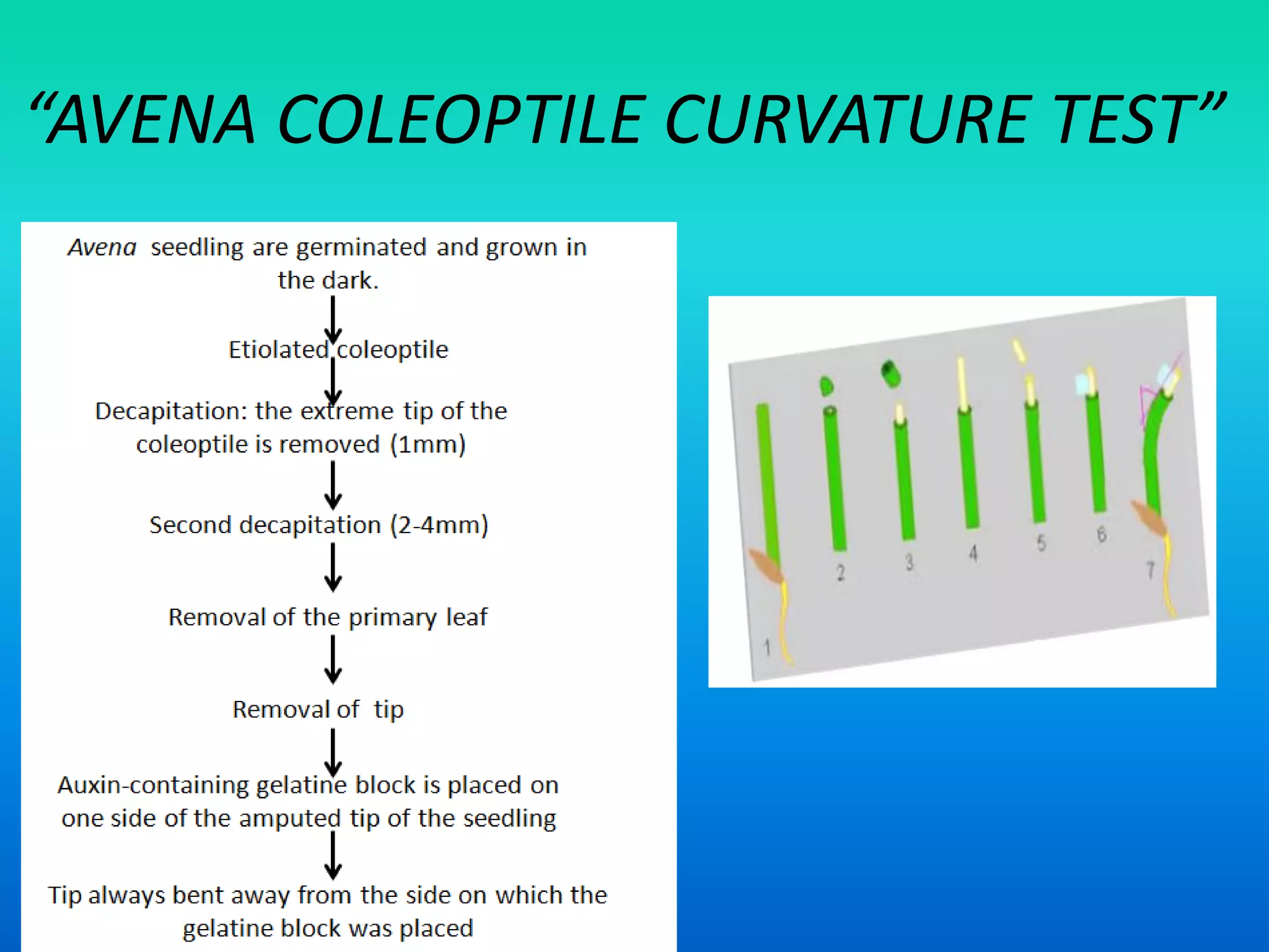 Bioassay for plant growth regulators | PPT