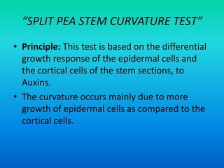 Bioassay for plant growth regulators | PDF