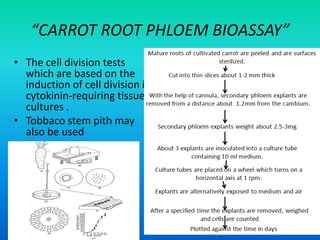 Bioassay for plant growth regulators | PDF
