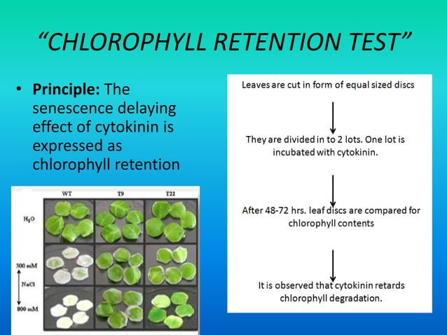 Bioassay for plant growth regulators | PDF