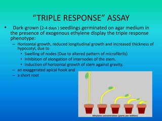 Bioassay for plant growth regulators | PDF