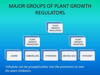 Bioassay for plant growth regulators | PDF