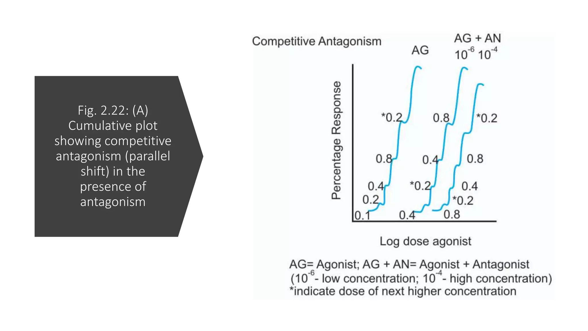 Bioassay of Antagonist.pptx | Lung and Respiratory Health | Diseases ...