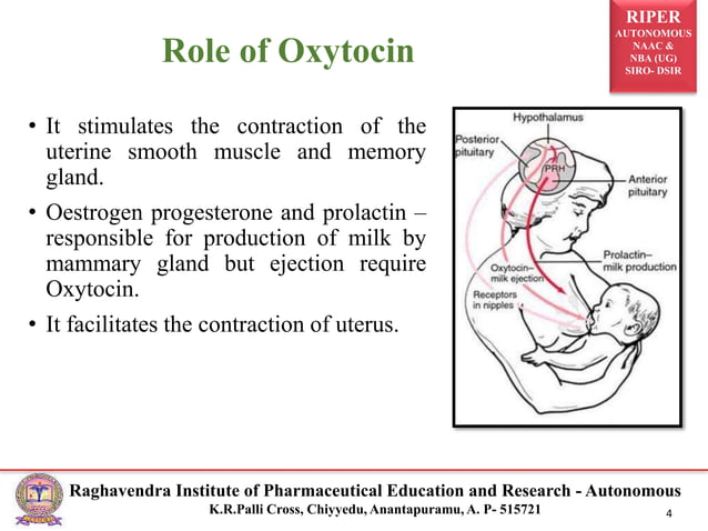 Biological Tests And Bioassay Of Oxytocin Ppt