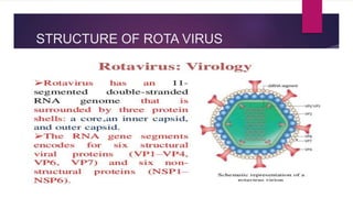 Bioassay of rota virus vaccine | PPT