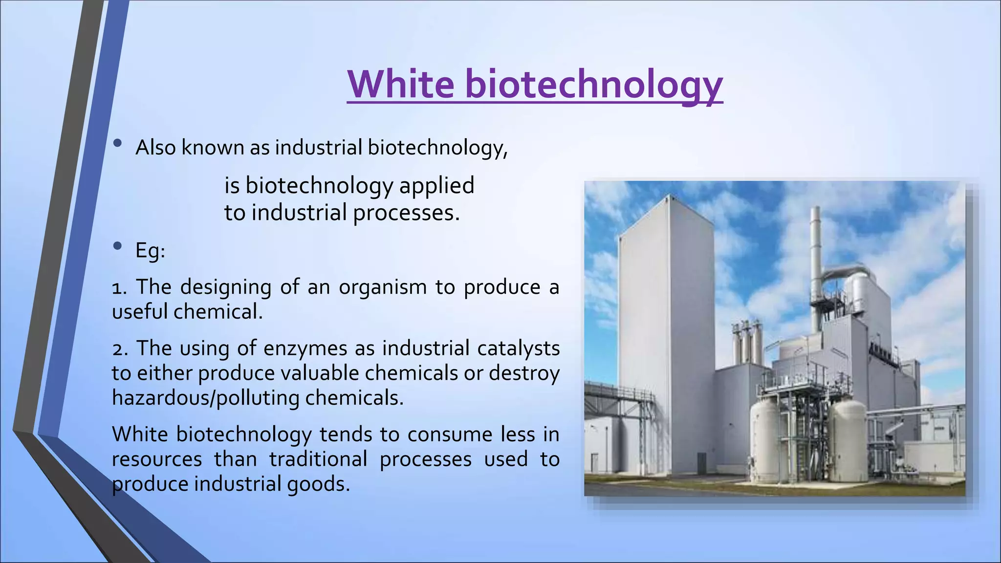 bioassaytechniques-.ppt