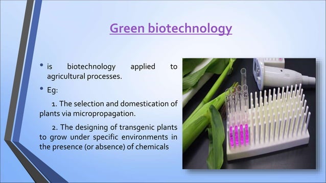 bioassaytechniques-.ppt