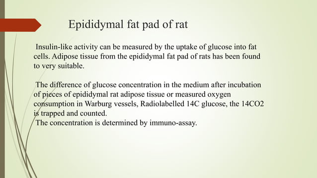 Bioassy of insulin according to Indian pharmacopoeia | PPTX | Endocrine ...