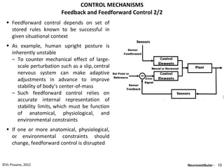Bioastronautics: Space Exploration and its Effects on the Human Body ...
