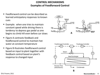Bioastronautics: Space Exploration and its Effects on the Human Body ...