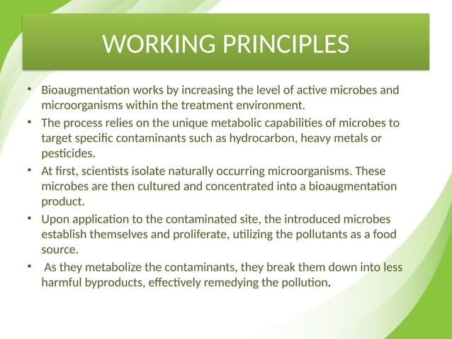 BIOAUGMENTATION : A Bioremediation process | PPTX | Biotech and ...