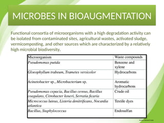 BIOAUGMENTATION : A Bioremediation process | PPTX | Biotech and ...