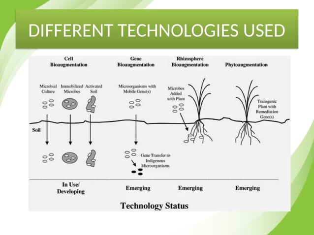 BIOAUGMENTATION : A Bioremediation process | PPTX | Biotech and ...