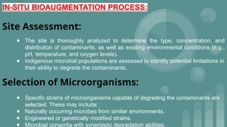 BIOREMEDIATION -BIOAUGMENTATION - INSITU AND EXSITU BIOAUGMENTATION | PPT