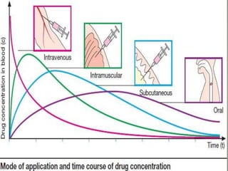 Bioavailability | PPTX