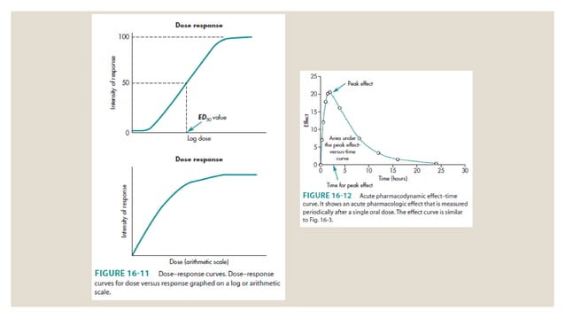 Bioavailability and Bioequivalence -2- Types, Methods, Protocol.pptx