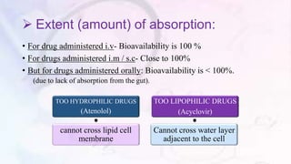Bioavailability and bioequivalence | PPT