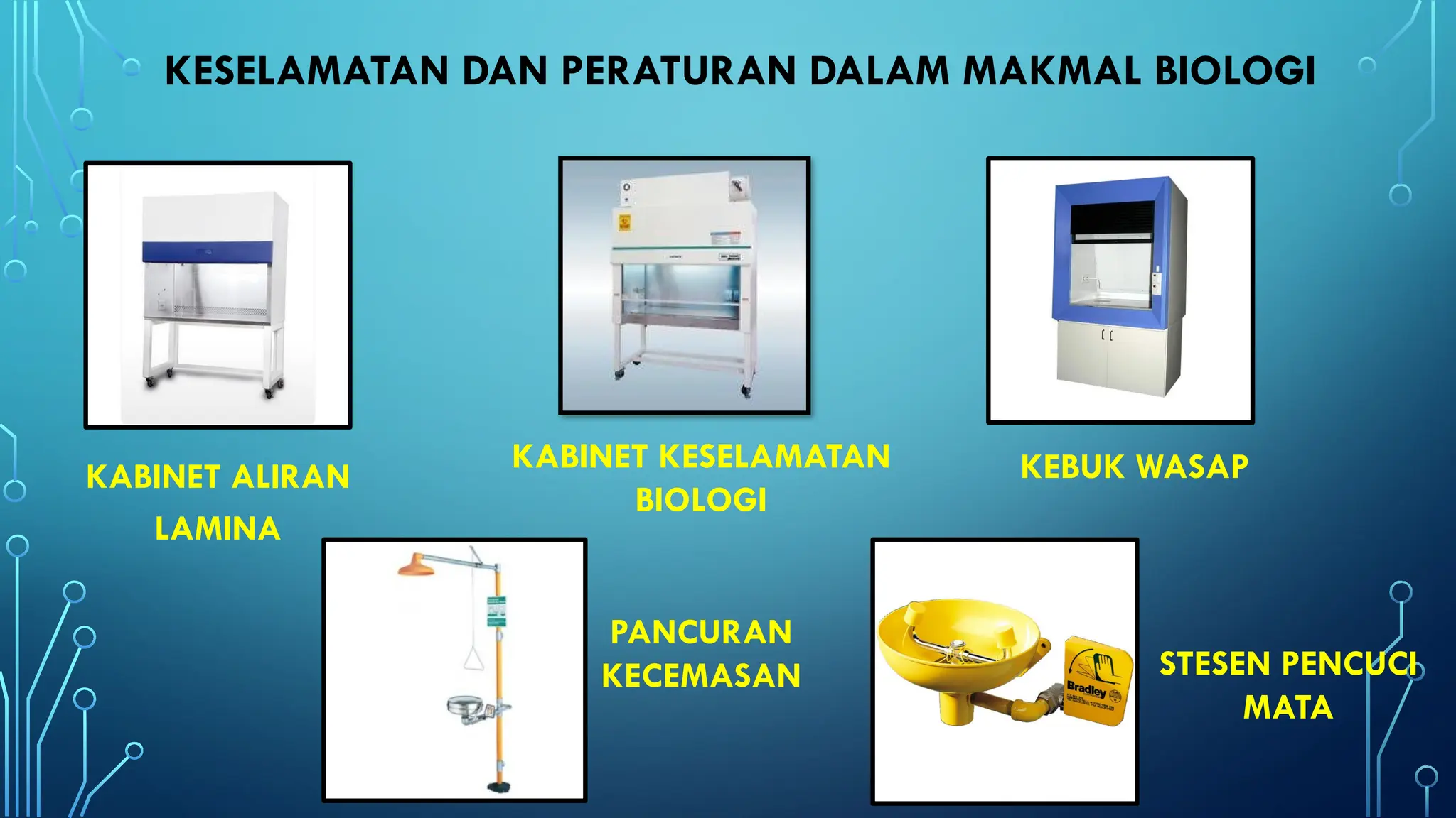 BIO BAB1 F4.pptx Pengenalan kepada biologi | PPT