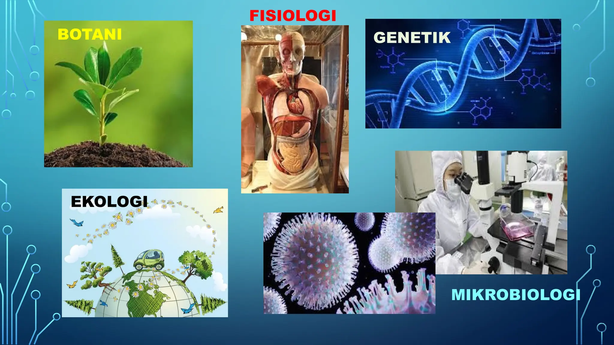 BIO BAB1 F4.pptx Pengenalan kepada biologi | PPT