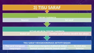 NOTA RINGKAS BIOLOGI BAB 2 TINGKATAN 4.pptx