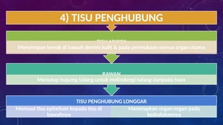 NOTA RINGKAS BIOLOGI BAB 2 TINGKATAN 4.pptx