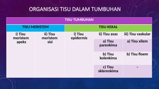 NOTA RINGKAS BIOLOGI BAB 2 TINGKATAN 4.pptx