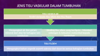 NOTA RINGKAS BIOLOGI BAB 2 TINGKATAN 4.pptx