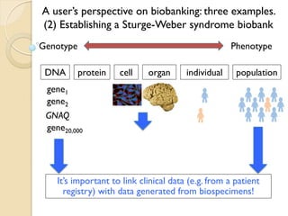 Biobanking a user’s perspective: Dr. Jonathan Pevsner | PDF