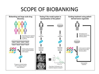 Biobanking | PPTX