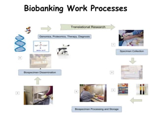 Biobanking 17072018 sanjay singh.pptx