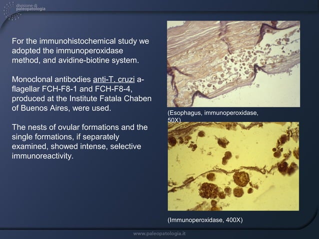 Ancient Remnants: Biomolecules in Paleopathology | PPT