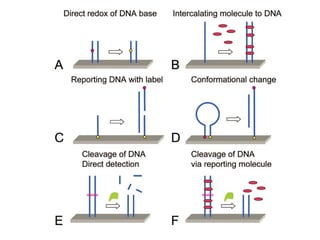 BIOBARCODE | PPT
