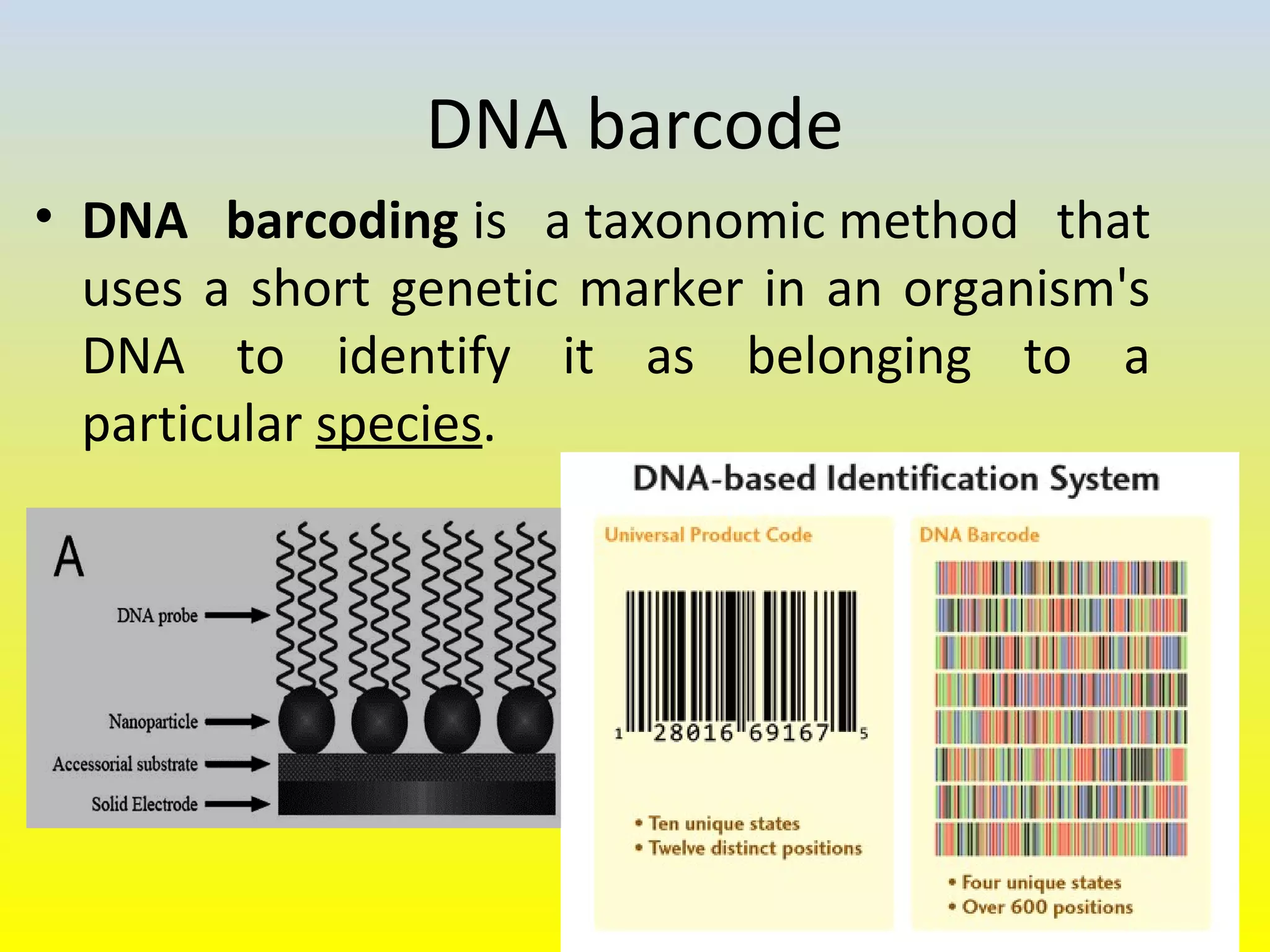 BIOBARCODE AND NANOPARTICLE DETECTION | PPT