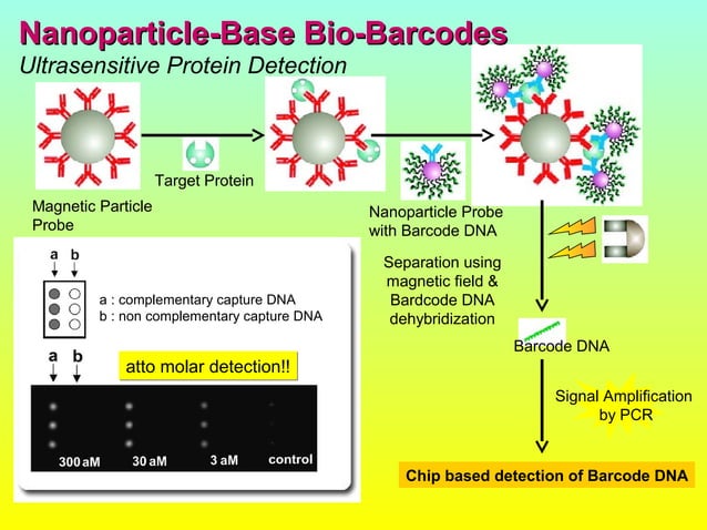 BIOBARCODE AND NANOPARTICLE DETECTION | PPT
