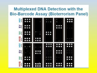 BIOBARCODE AND NANOPARTICLE DETECTION | PPT