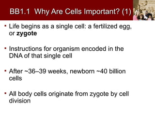 Bio basics1 long-version | PPT