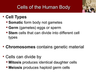 Bio basics1 long-version | PPT