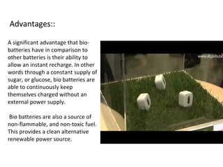 Bio battery | PPT