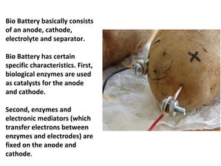 Bio battery | PPT