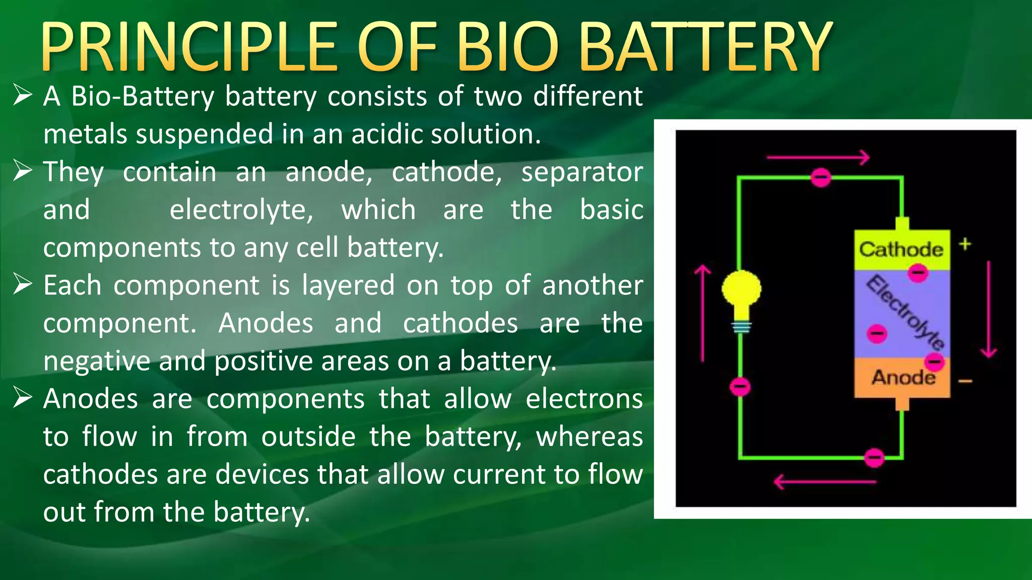 Bio battery | PPT | Free Download