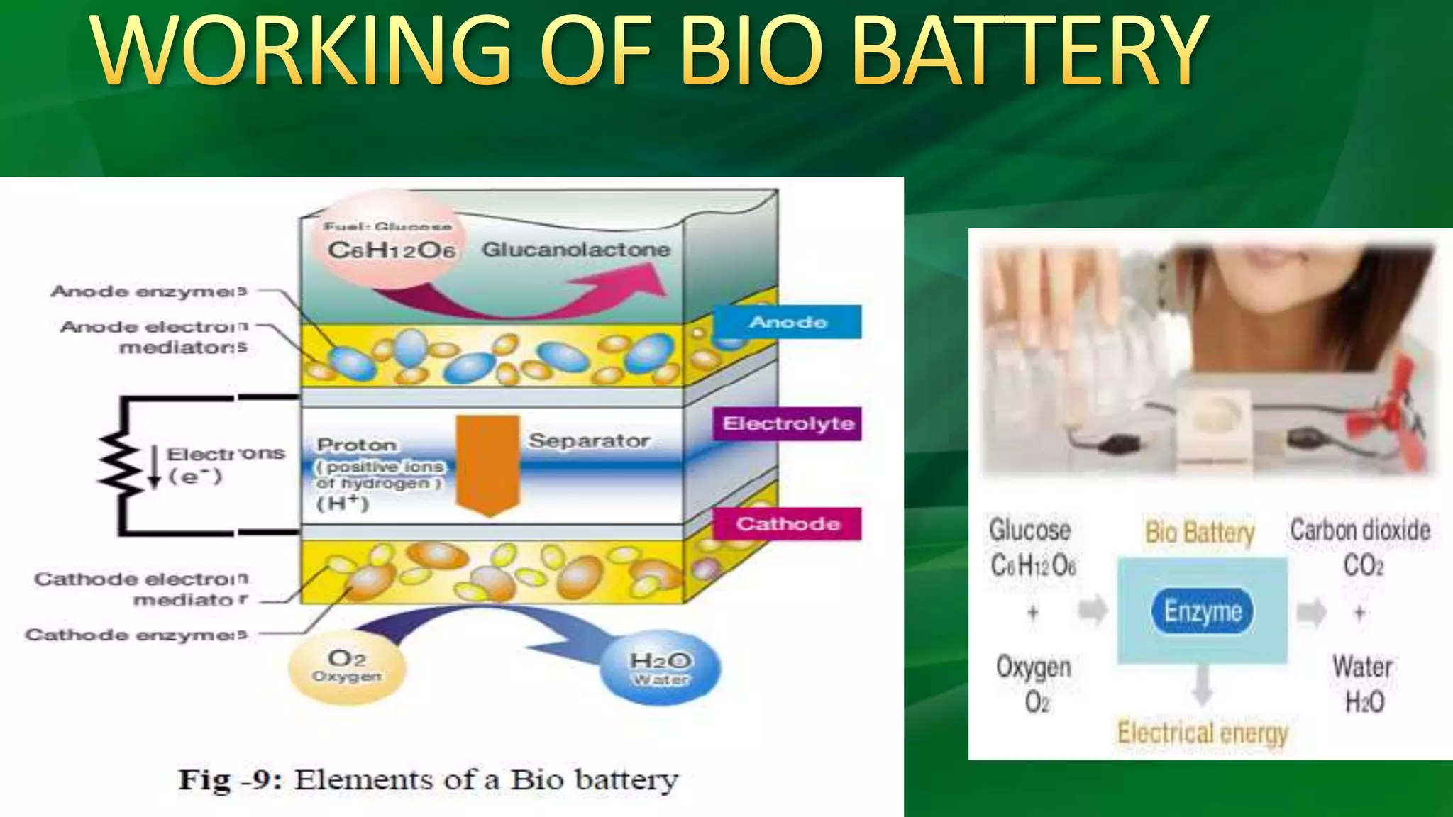 Bio battery | PPTX