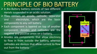 Bio battery | PPTX