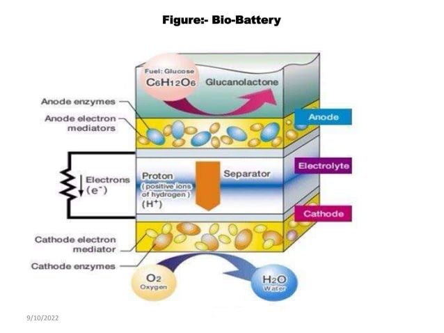 Bio Battery- New Era of Energy | PPTX