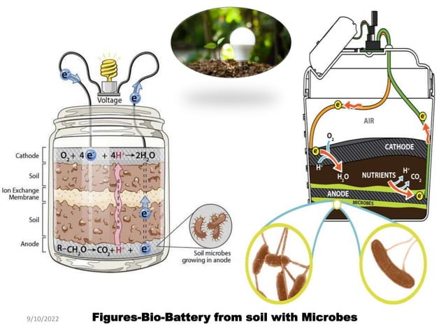 Bio Battery- New Era of Energy | PPTX