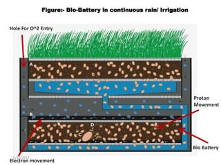 Bio Battery- New Era of Energy | PPTX