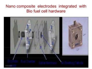 Bio Battery- New Era of Energy | PPTX