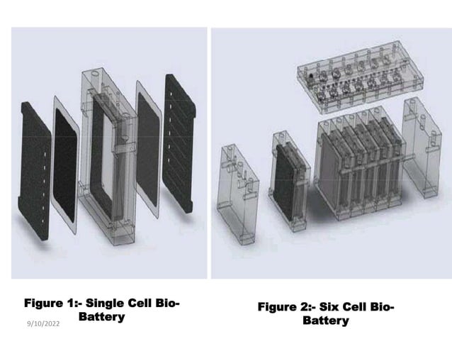 Bio Battery- New Era of Energy | PPTX