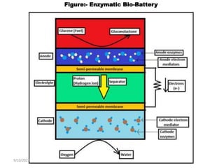 Bio Battery- New Era of Energy | PPTX